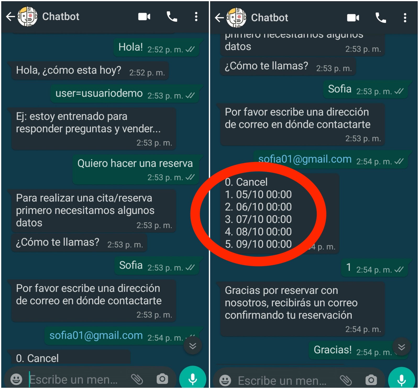 Statisch Urwald Traum Bot Whatsapp Bewusst Wird Bearbeitet Sicherung